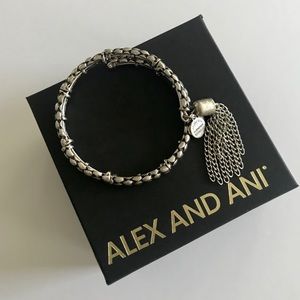 Alex and Ani | Jewelry | Alex And Ani Silver Tassel Bracelet | Poshmark
